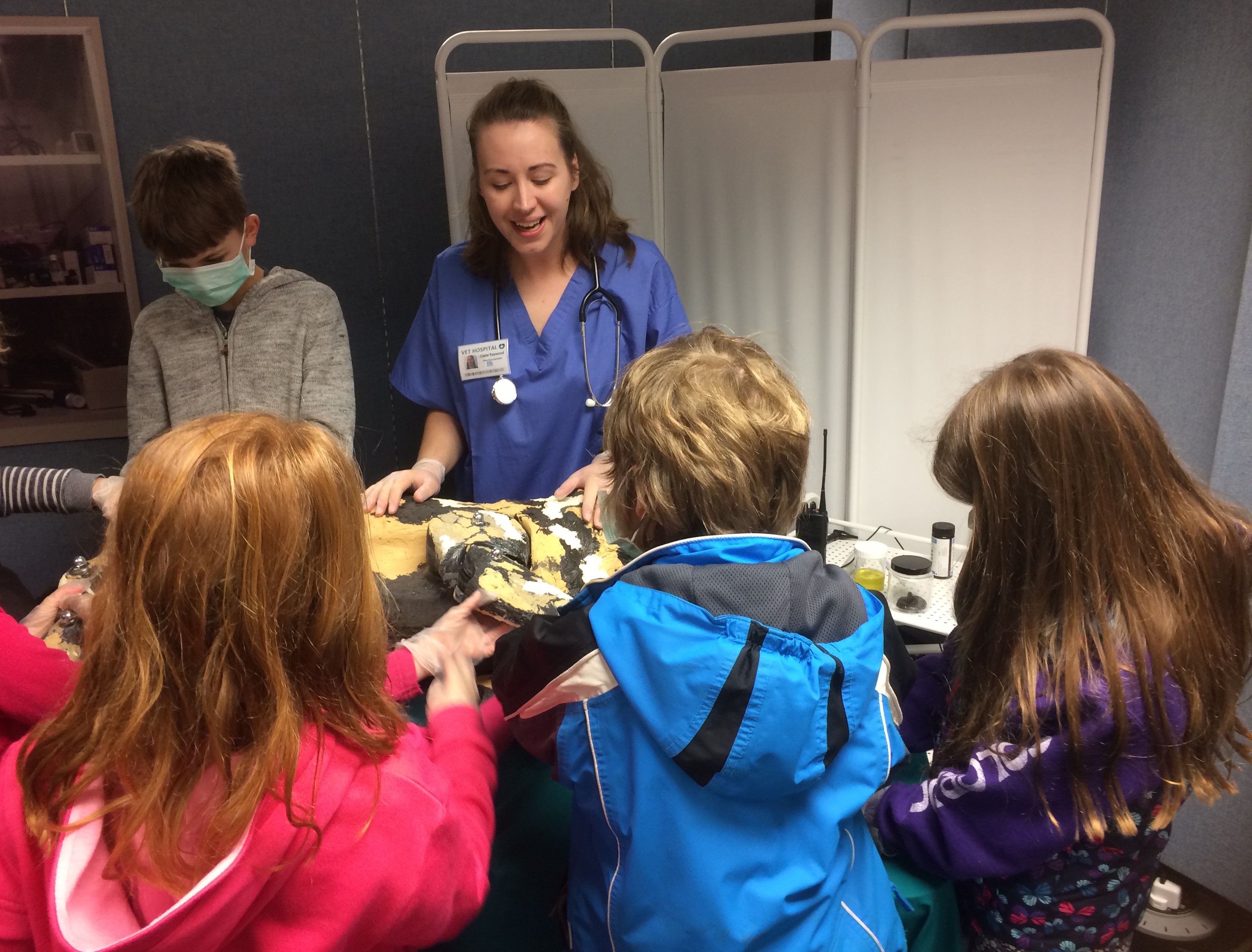 Review : Vets in Action at ZSL Whipsnade – The Staycationer