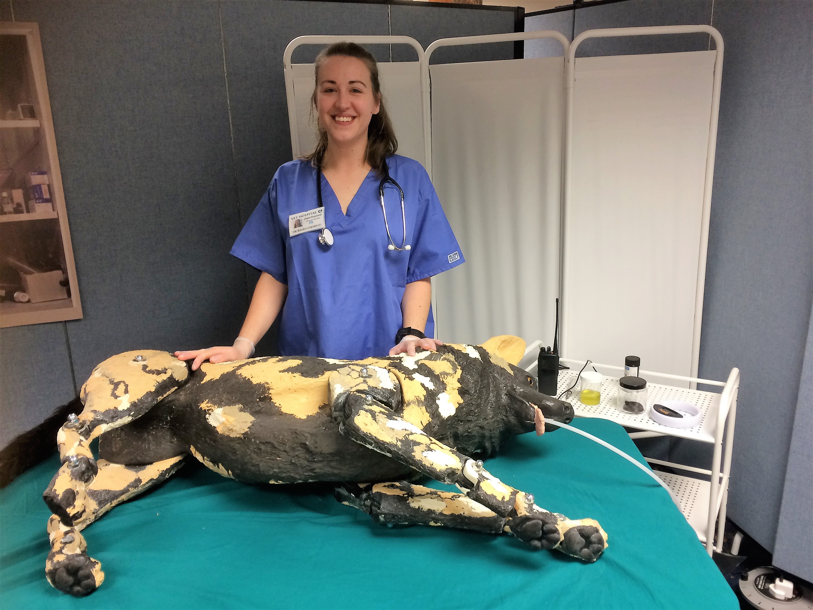 Review : Vets in Action at ZSL Whipsnade – The Staycationer